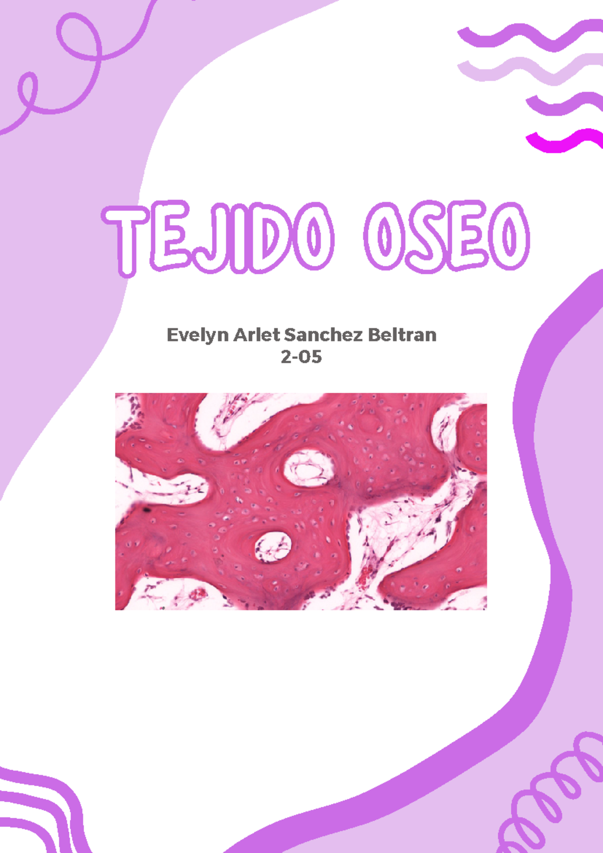Tejido Oseo 8b8f5edc454e5cd7619fc50f5d6f4114 - Evelyn Arlet Sanchez ...