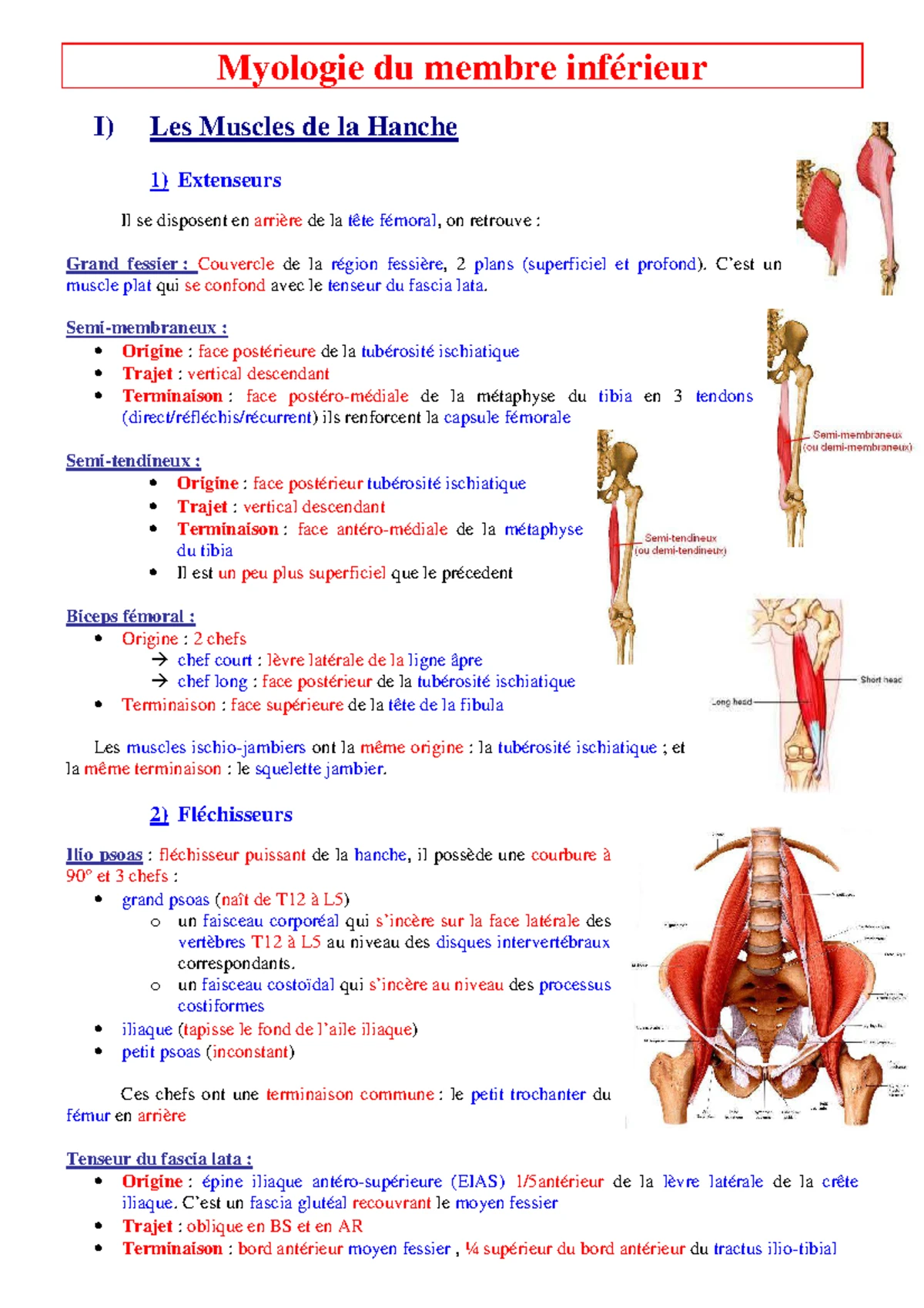 L1 Physio Annales 2020-2021 corrigé - Licence 1 STAPS : Physiologie ...