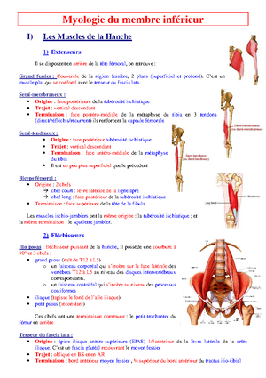 L1 Physio Annales 2020-2021 corrigé - Licence 1 STAPS : Physiologie Fondamentale M. Morel Durée ...