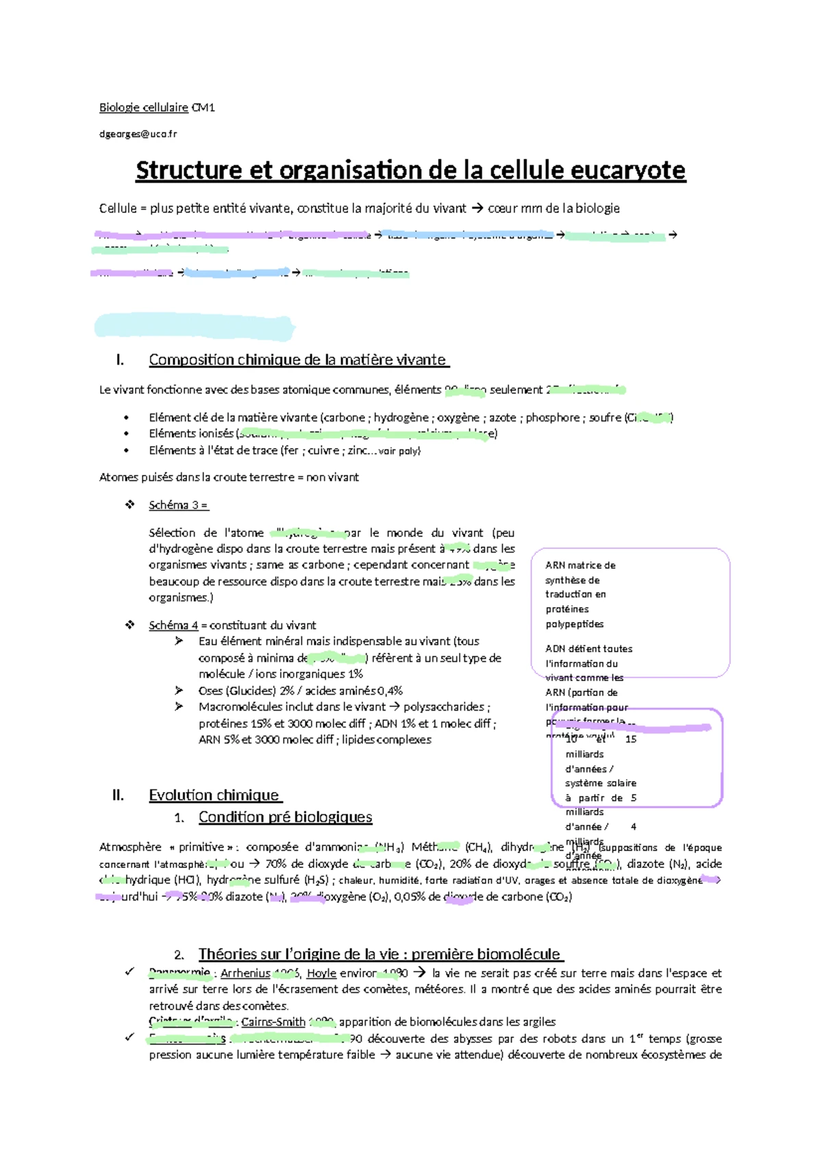 Chapitre 3 : Anatomie et Phyllotaxie des Feuilles - Studocu