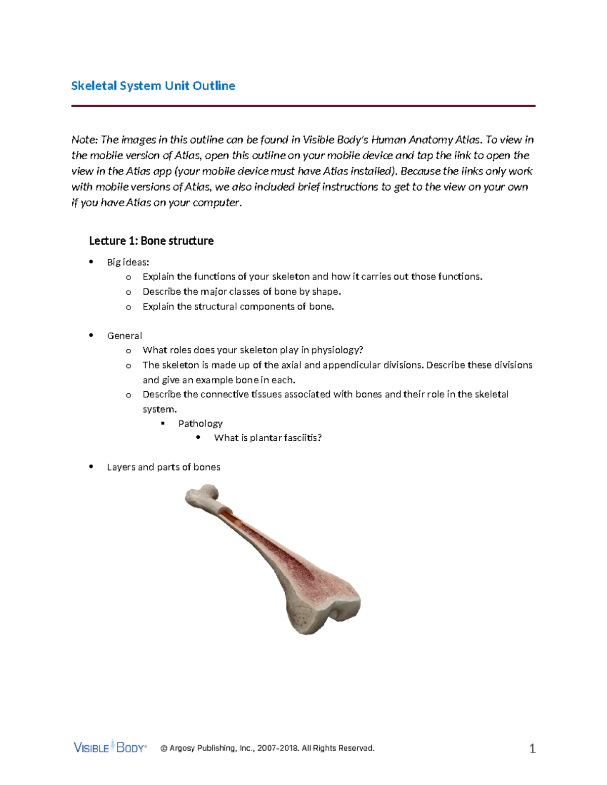 Ap-outline-skeletal - lab activity - Skeletal System Unit Outline Note ...