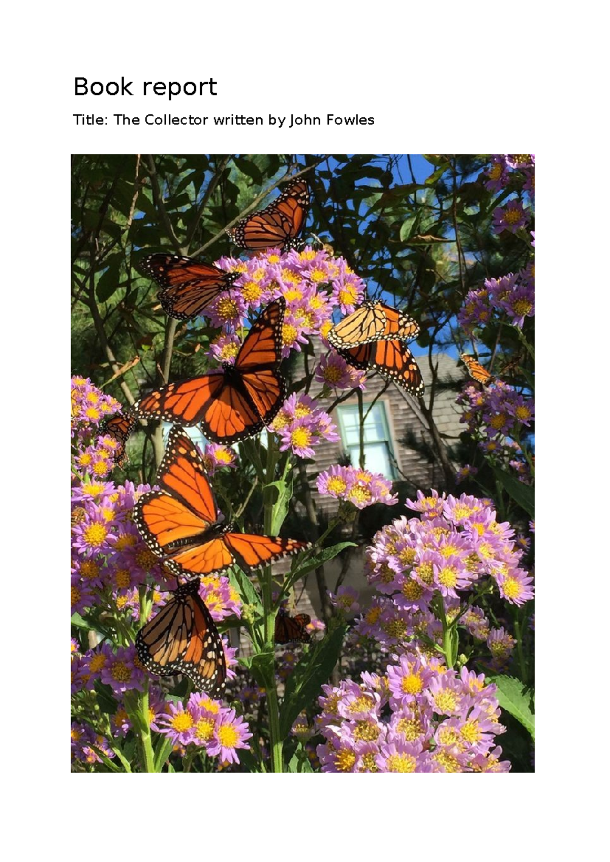 Book Report: The Collector by John Fowles - Analysis & Themes - Studeersnel