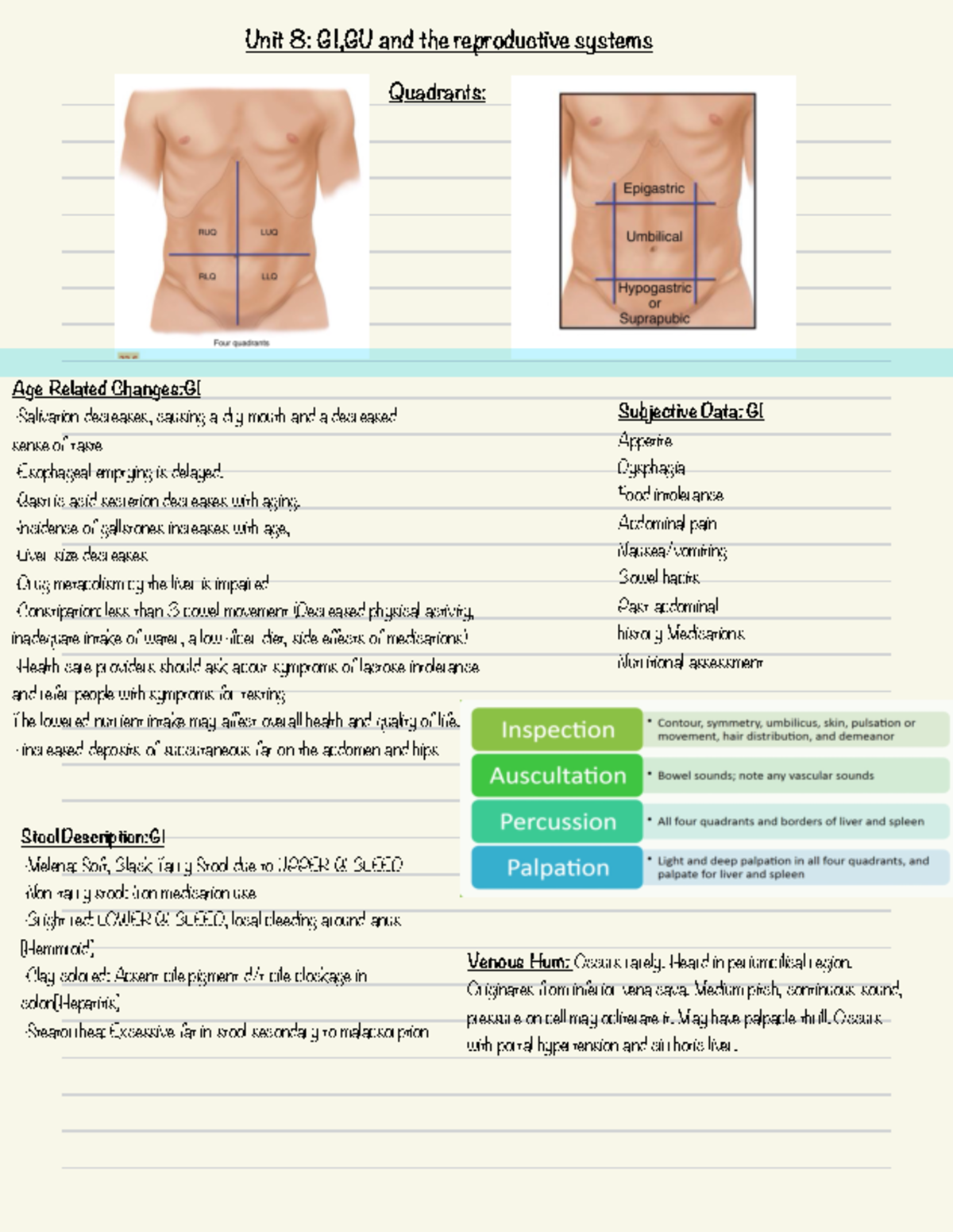 Health Assessment NSG3160 Exam 1: GI, GU & Reproductive Systems Notes ...