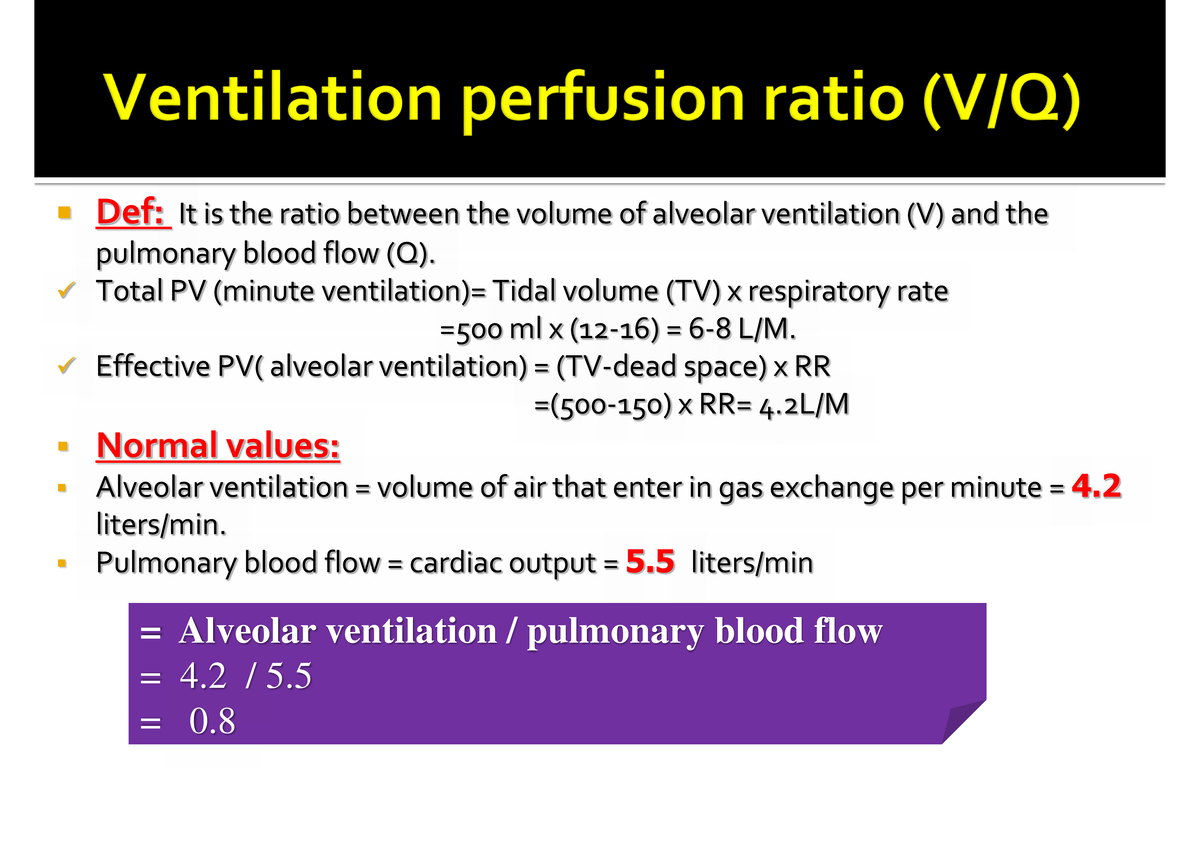 Ventilation-Perfusion Ratio in Respiration (L4, 202606052316) - Studocu