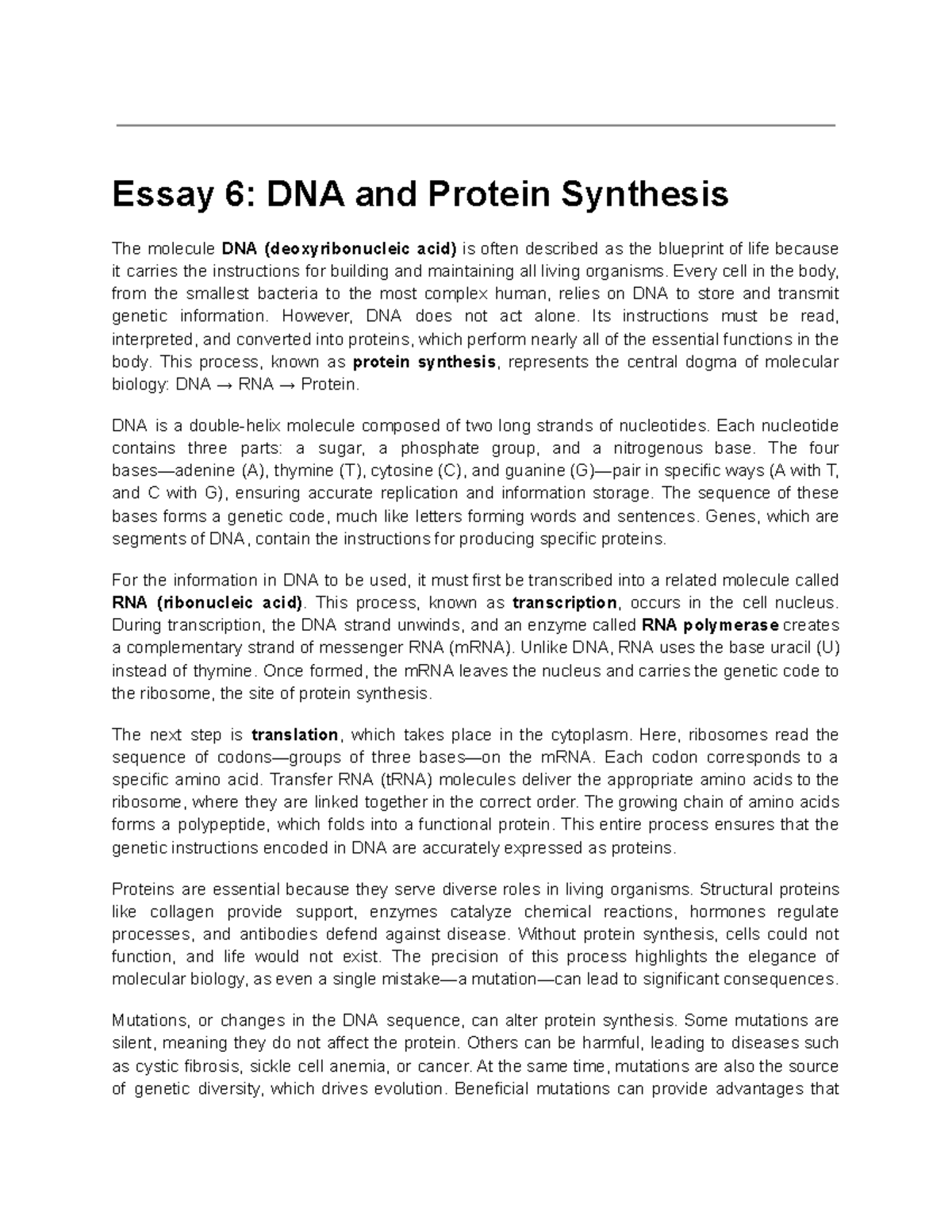 Essay 6: Understanding DNA & Protein Synthesis - Studocu