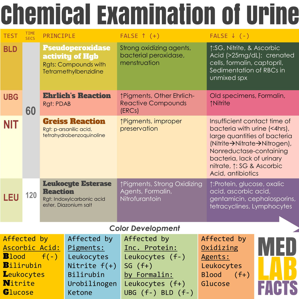 Pdf from images - Summary Fundamentals of Urine and Body Fluid Analysis ...