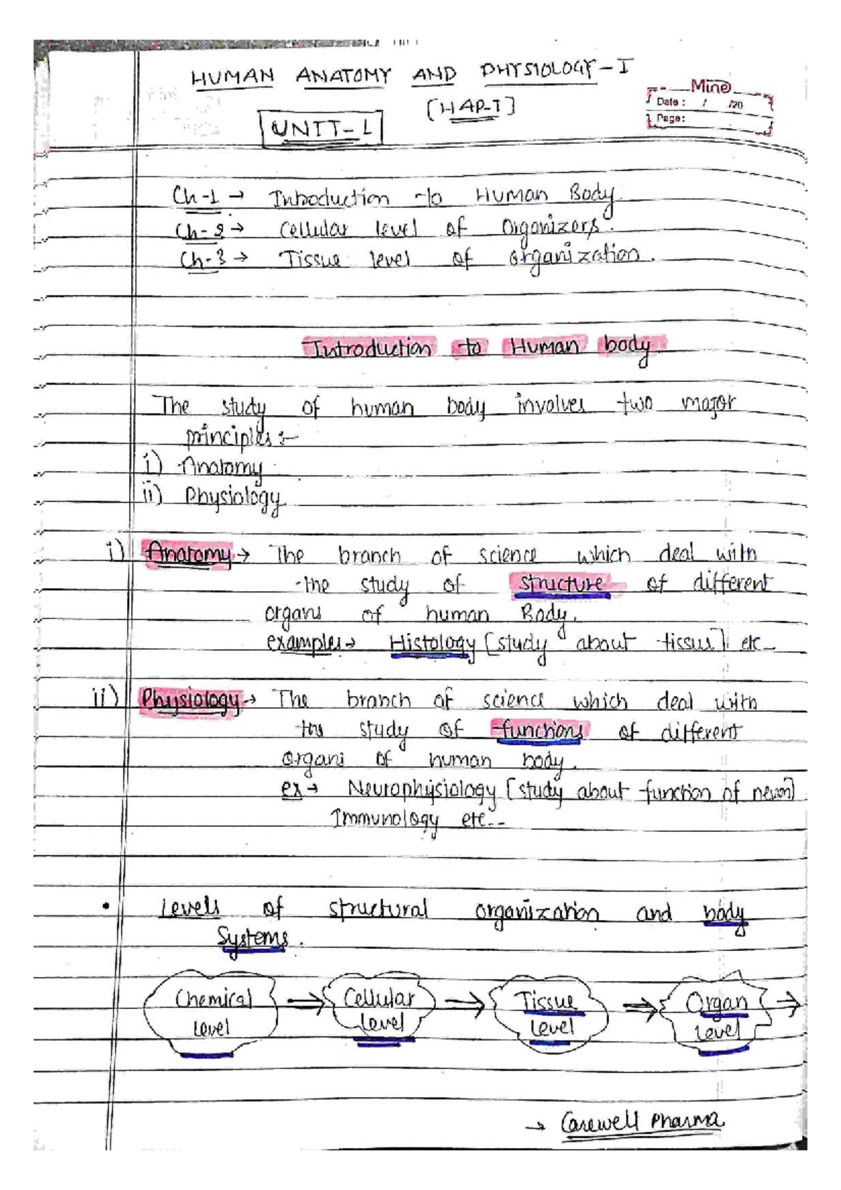 Unit 1 HAP: Introduction to Human Anatomy and Physiology Notes - Studocu