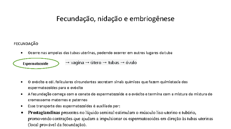 APG - Fecundação, Nidação e Embriogênese: Estudo Completo - Studocu