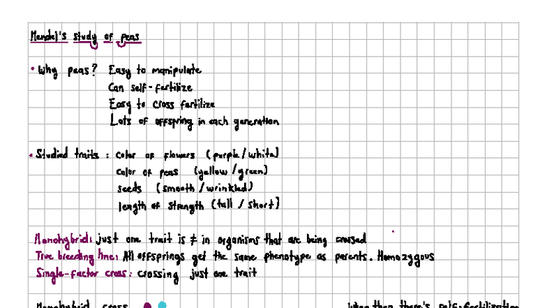 Chapter 1 - Genetics: Pea Plant Traits & Inheritance Notes - Studocu