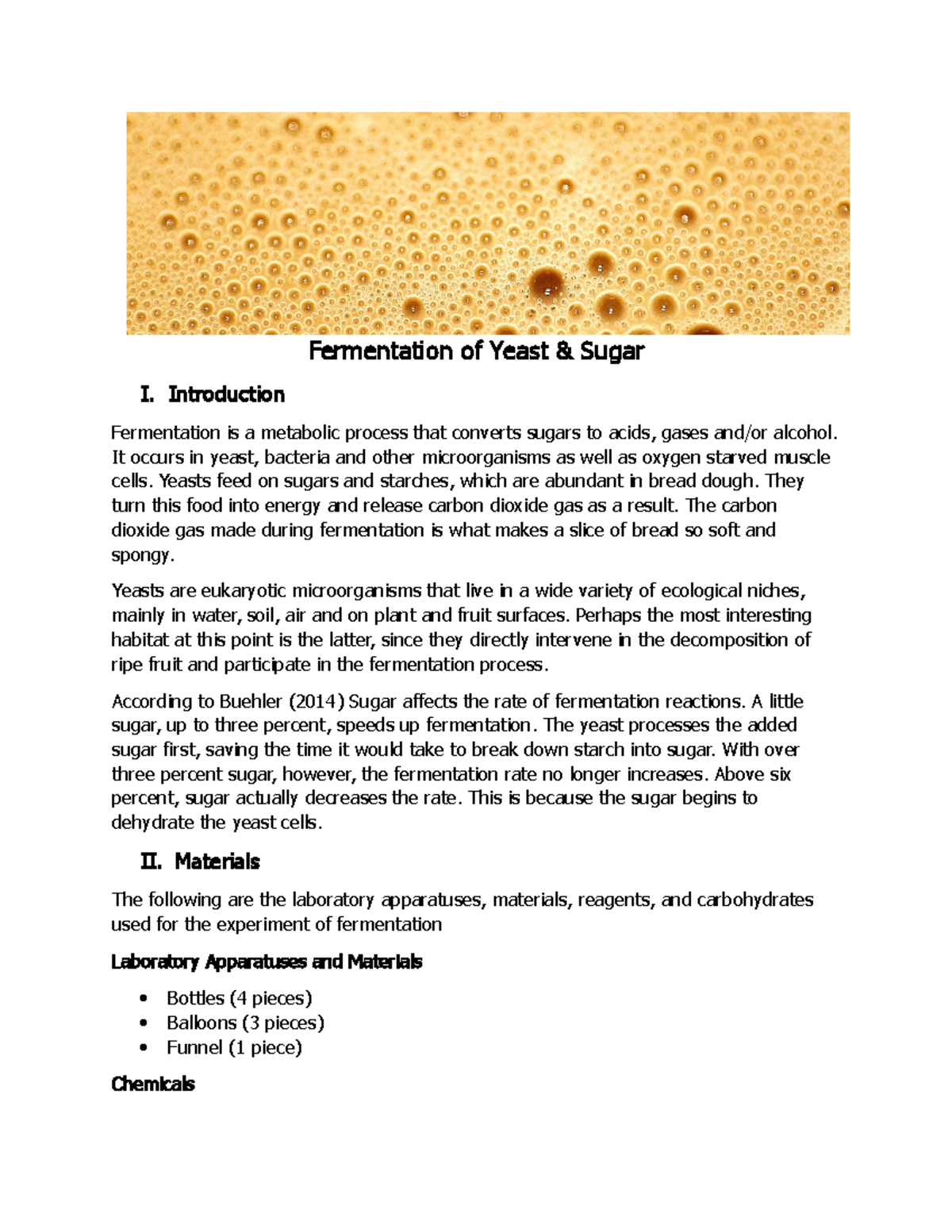 LR8 - Yeast Fermentation Experiment: Methods & Analysis - Studocu