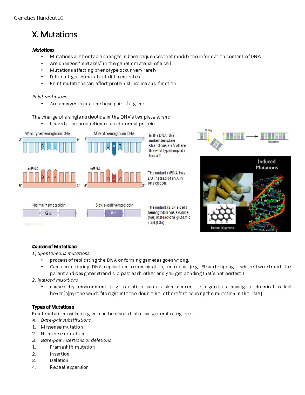 Genetics Handout 10X: Understanding Mutations and Their Effects - Studocu