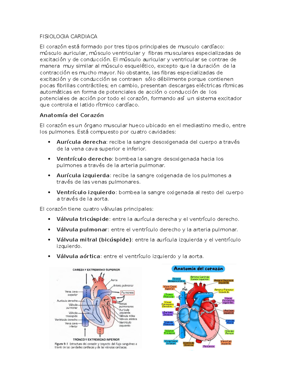Fisiologia Cardiaca - FISIOLOGIA CARDIACA El corazón está formado por ...
