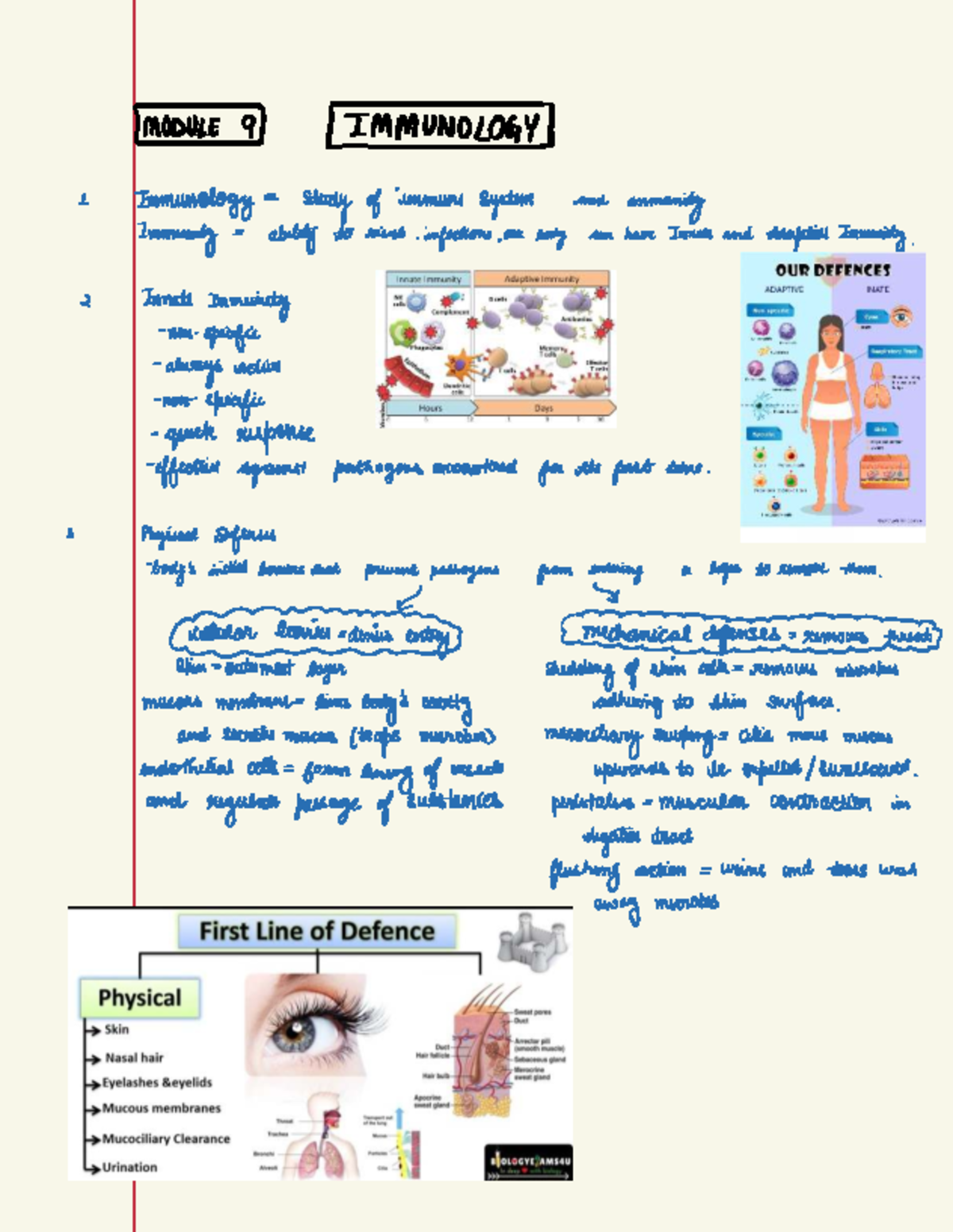 BMSC 210 Final Exam Study Notes: Immunology & Epidemiology Insights ...