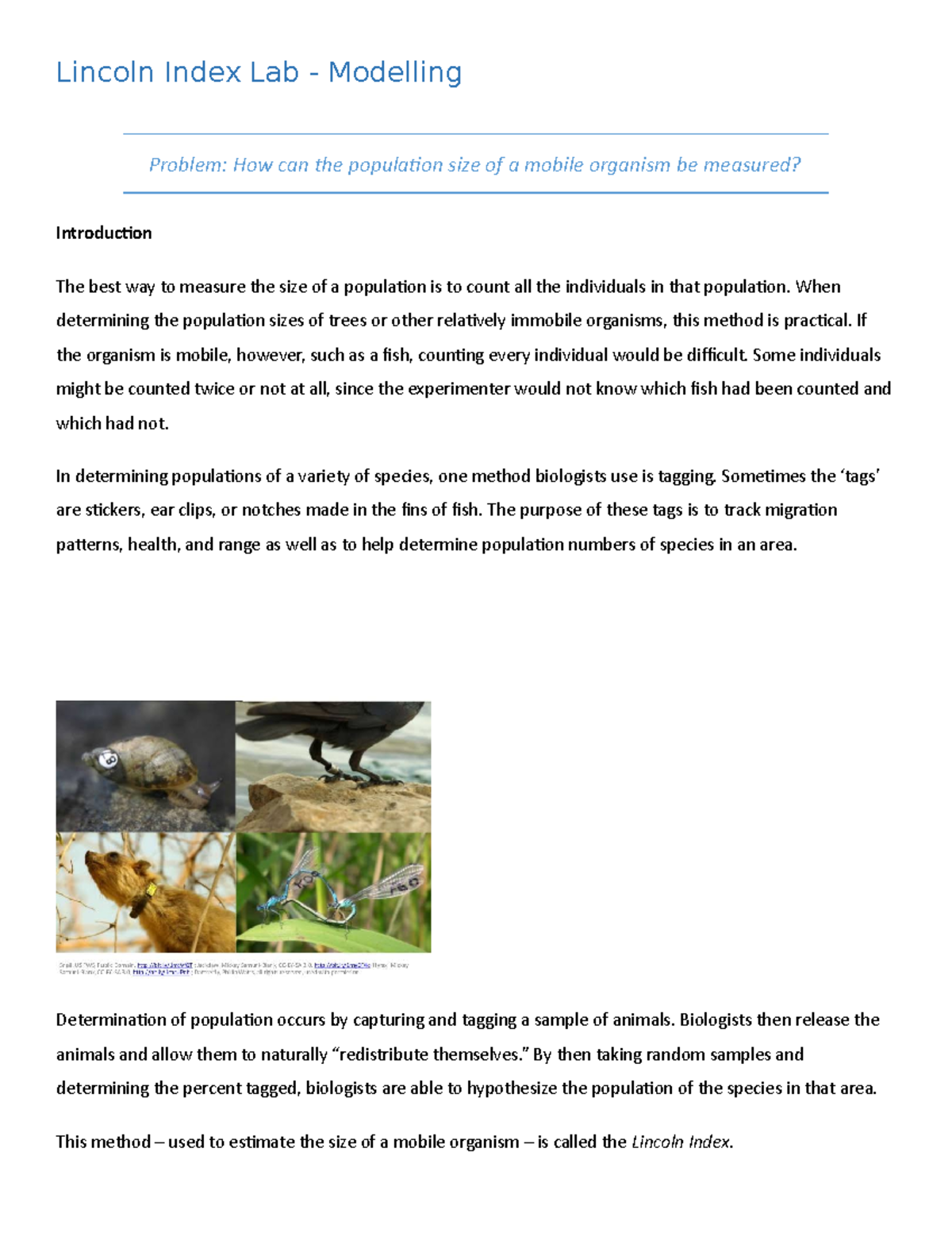 Lincoln Index Lab: Estimating Mobile Population Sizes - Studocu