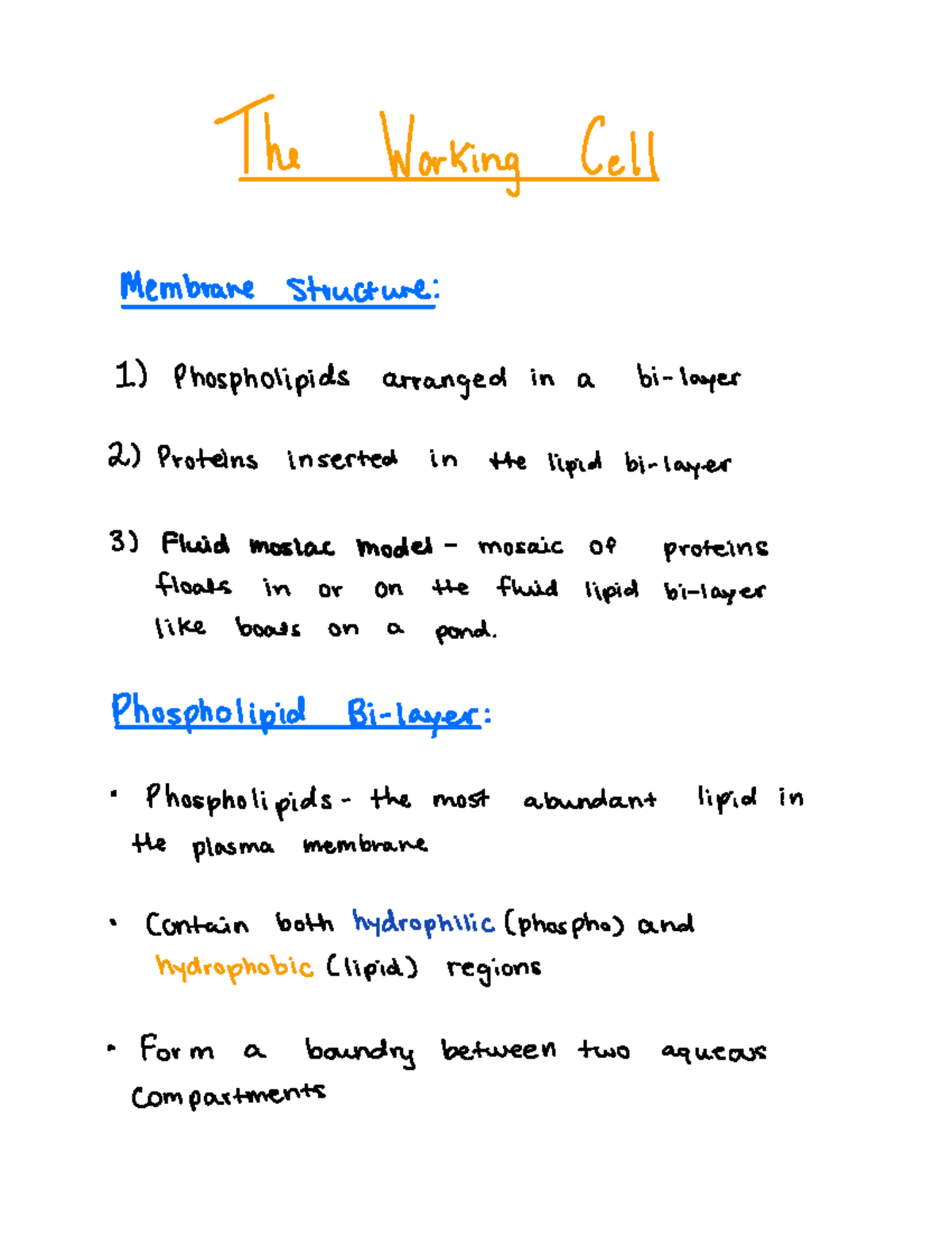 Notes on Chapter 5 - Membranous Structure and Cell Function - Studocu