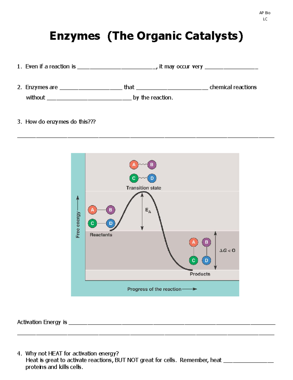 AP Bio LC Enzyme Notes: Understanding Organic Catalysts and Activation ...