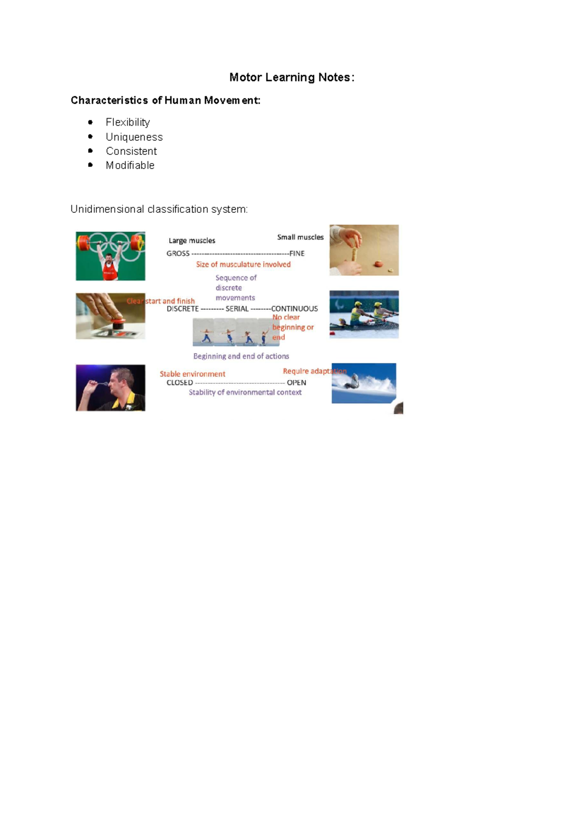 Motor Learning Notes: Human Movement Characteristics & Control Systems ...