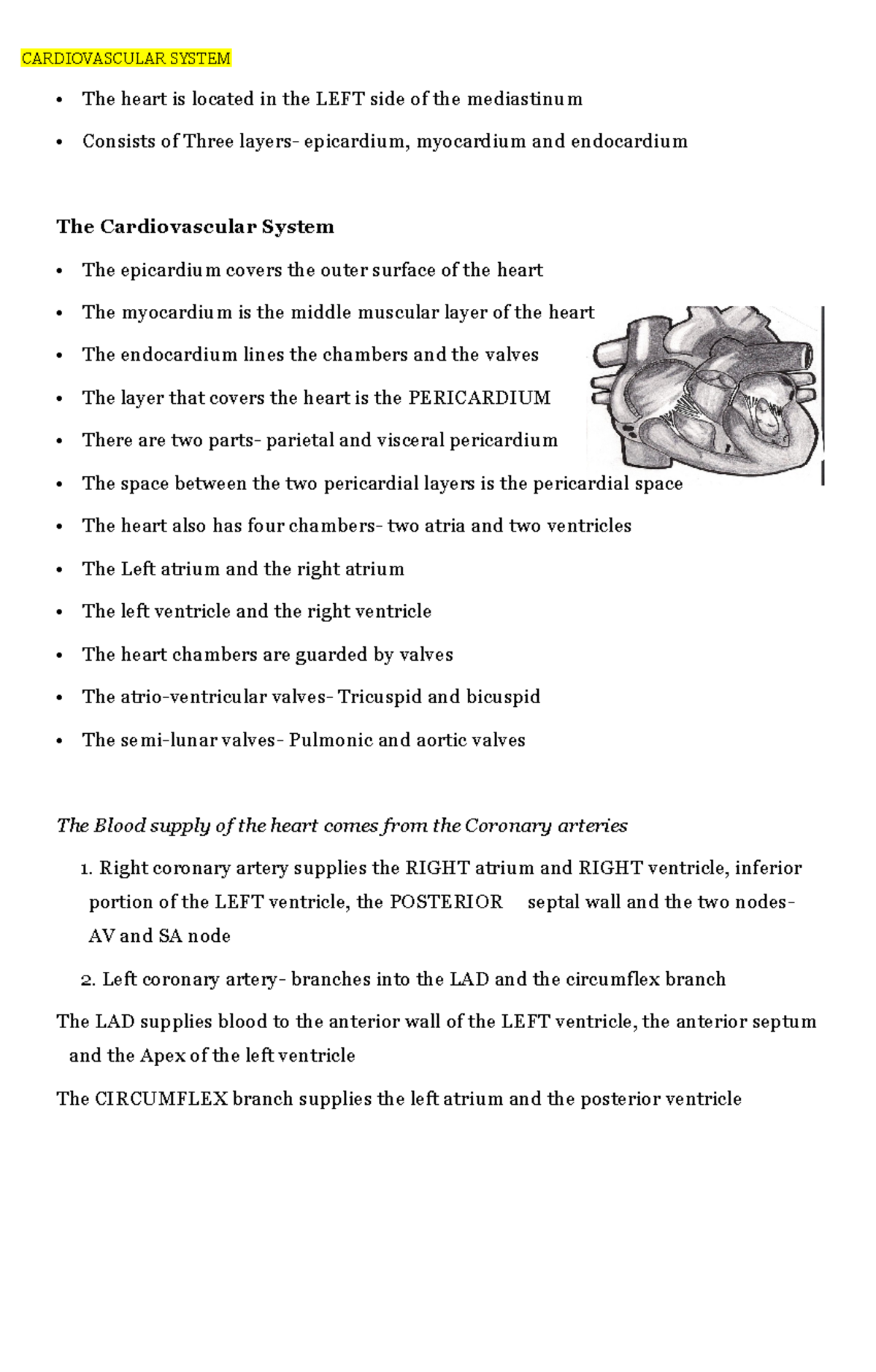 Cardiovascular System Overview: Anatomy, Physiology & Pathology - Studocu