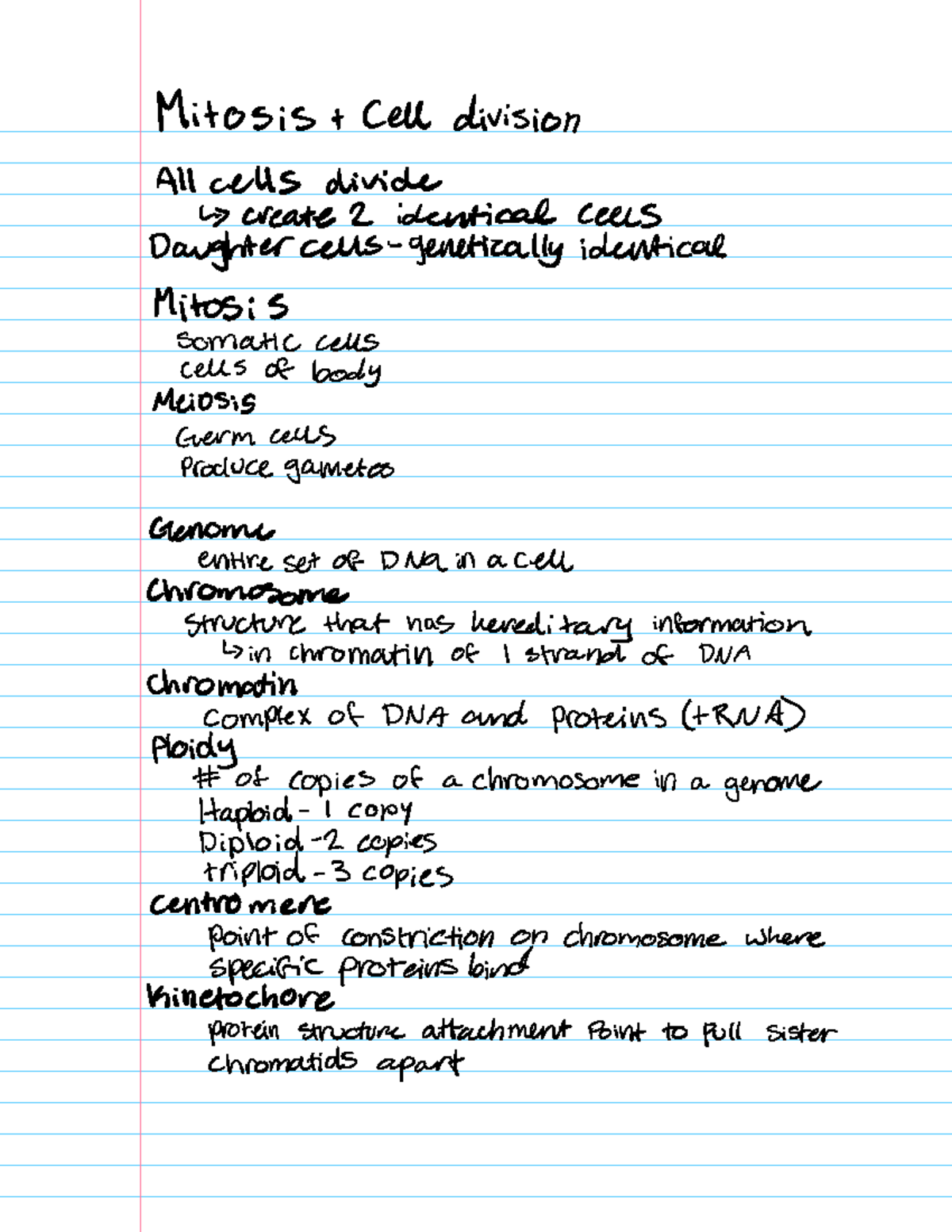 Mitosis and Meiosis: Key Processes in Cell Division & Genetics ...