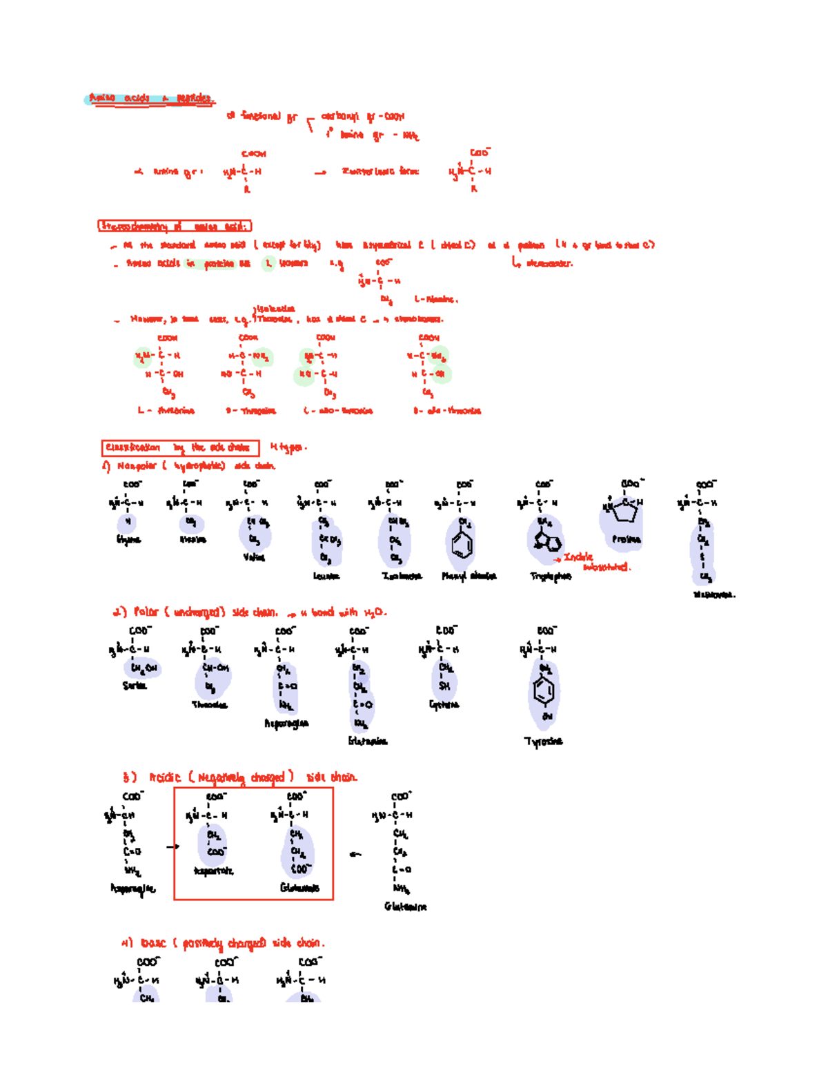 SCT3 - Study Notes and Key Concepts Overview - Studocu