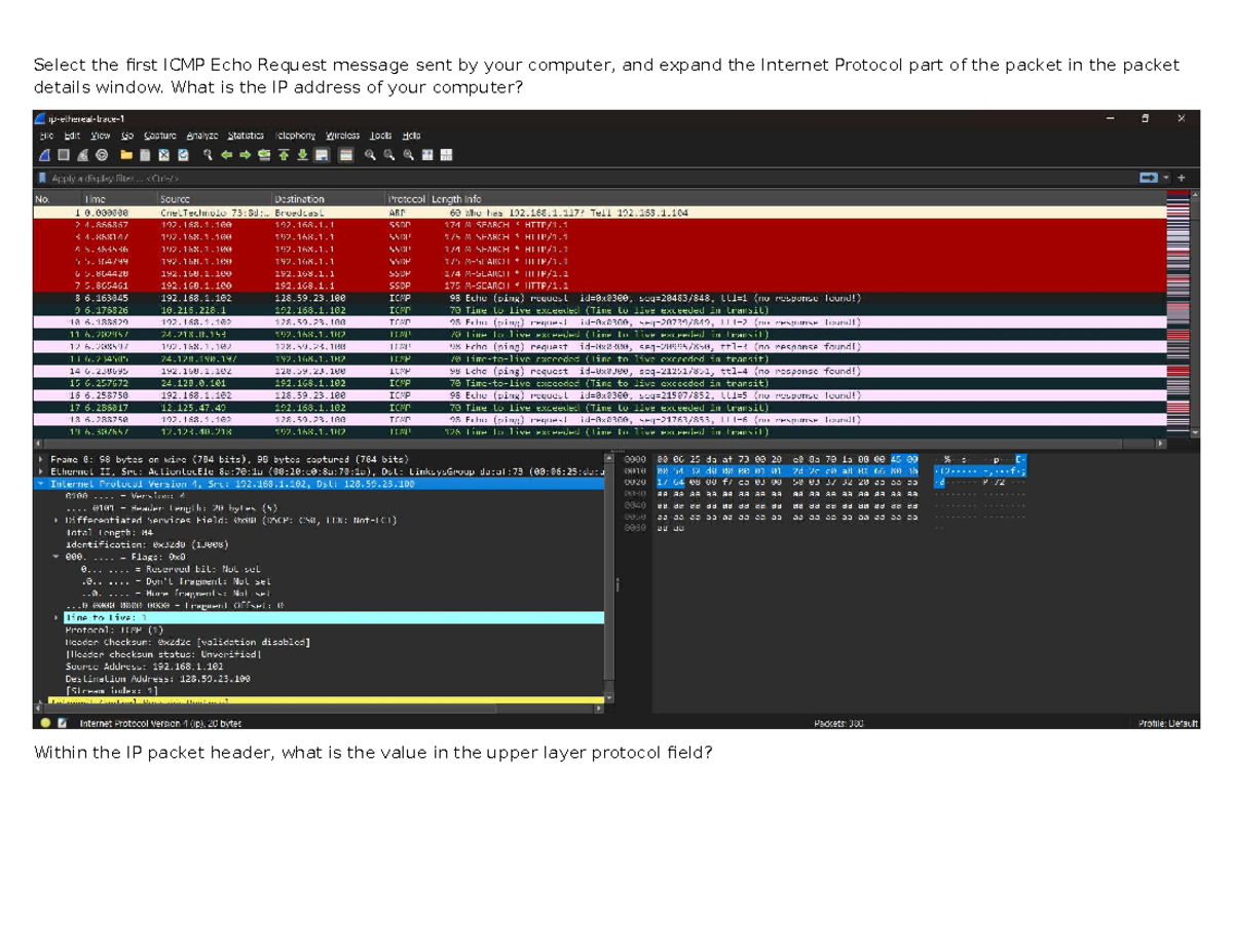 Wireshark ICMP Echo Request Analysis - Network Protocols 101 - Studocu