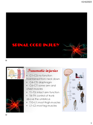 U1 Level of org Ana Phy intro ppt - AnaPhy Lab Joany Rabilas SLU ...