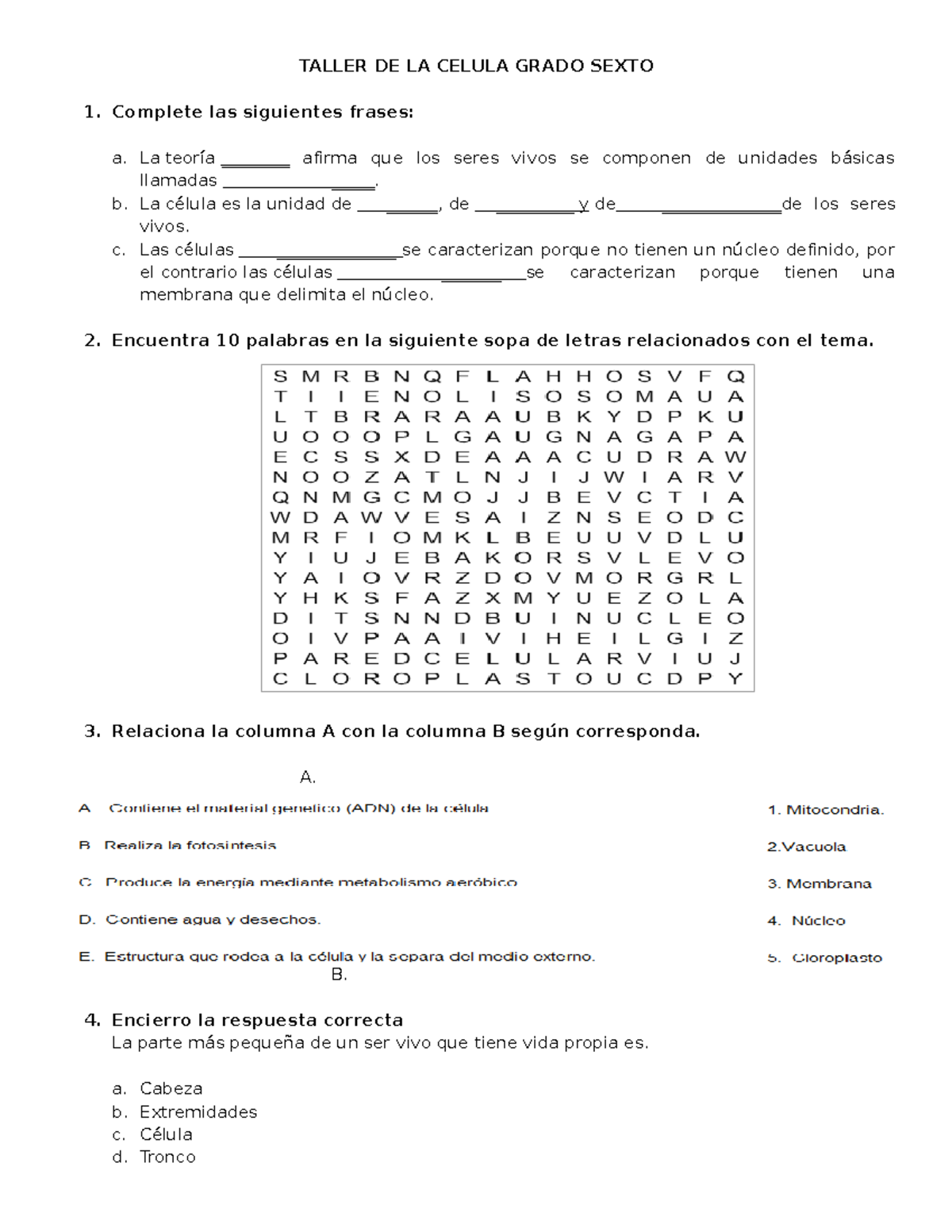 Taller DE LA Celula Grado Sexto primavera - TALLER DE LA CELULA GRADO ...