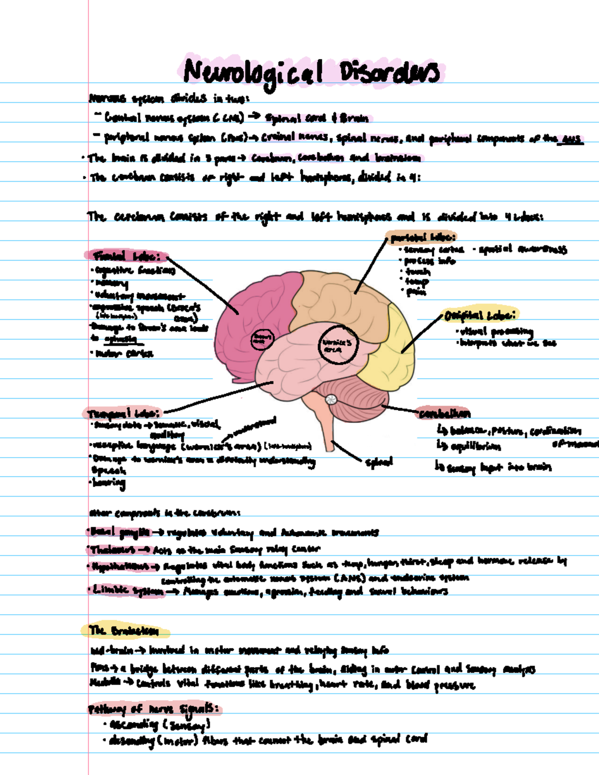 Neurological Disorders Overview - CNS & PNS (Note Apr 8, 2025) - Studocu