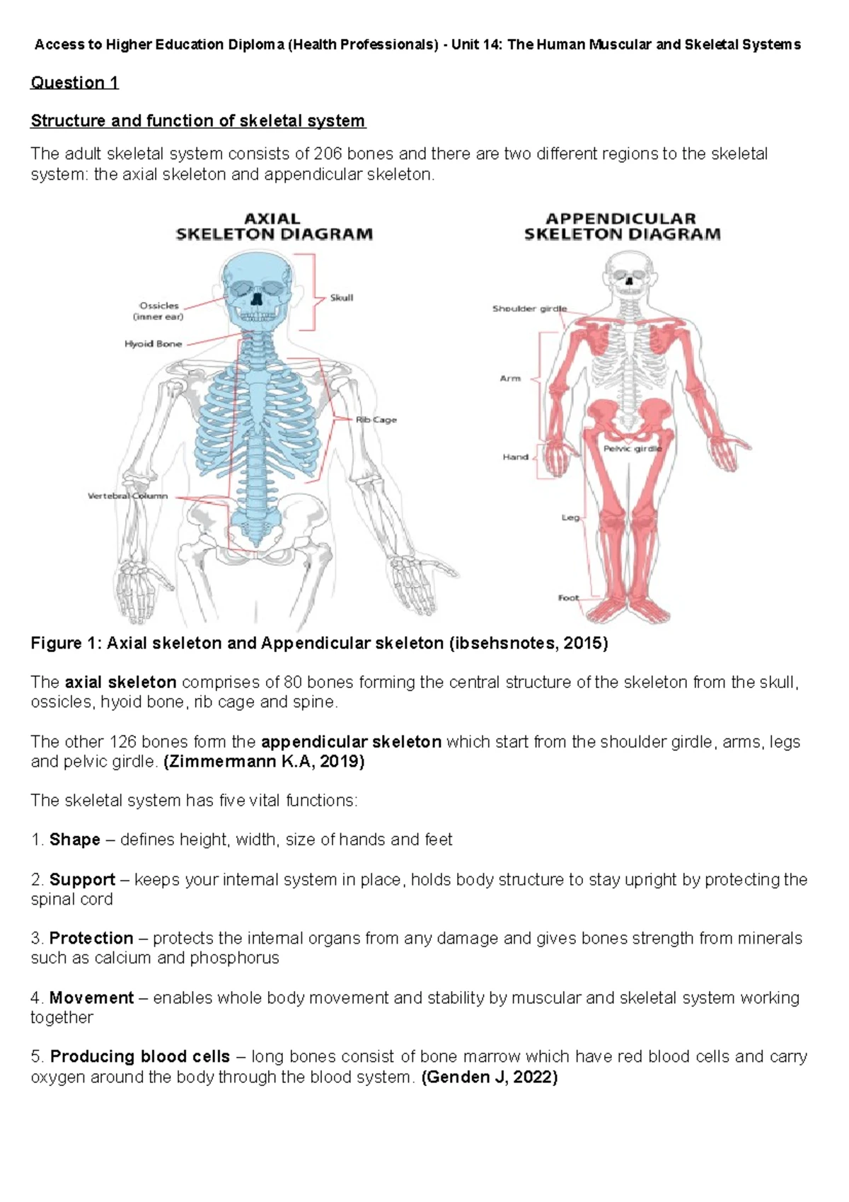 Unit 11 Final Exam Study Guide: Human Muscular & Skeletal Systems - Studocu