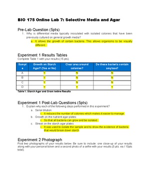BIO275 Syllabus FALL2013 - Syllabus Biology 275 Microbiology Fall ...