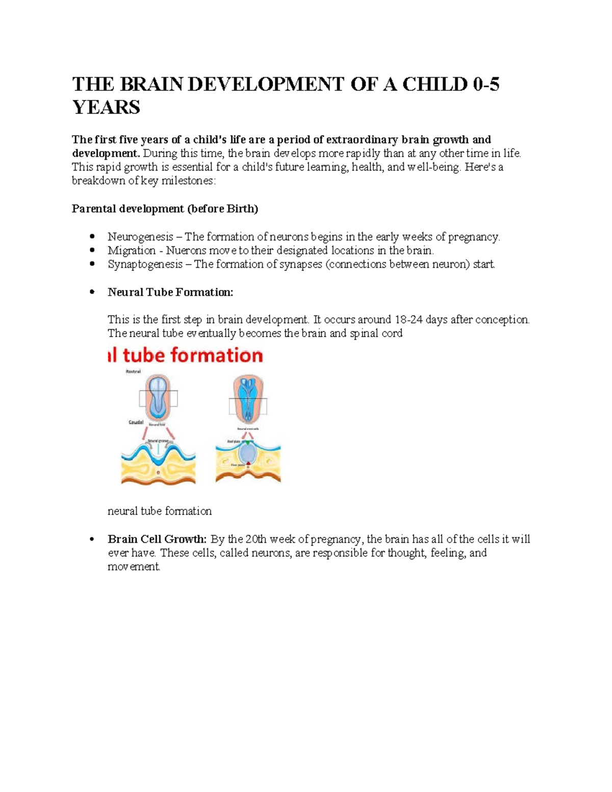 Child Brain Development 0-5 Years: Key Milestones and Growth - Studocu