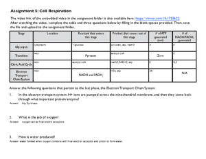Intro to Chemistry- Exam 1 Flashcards Quizlet - Intro to Chemistry ...