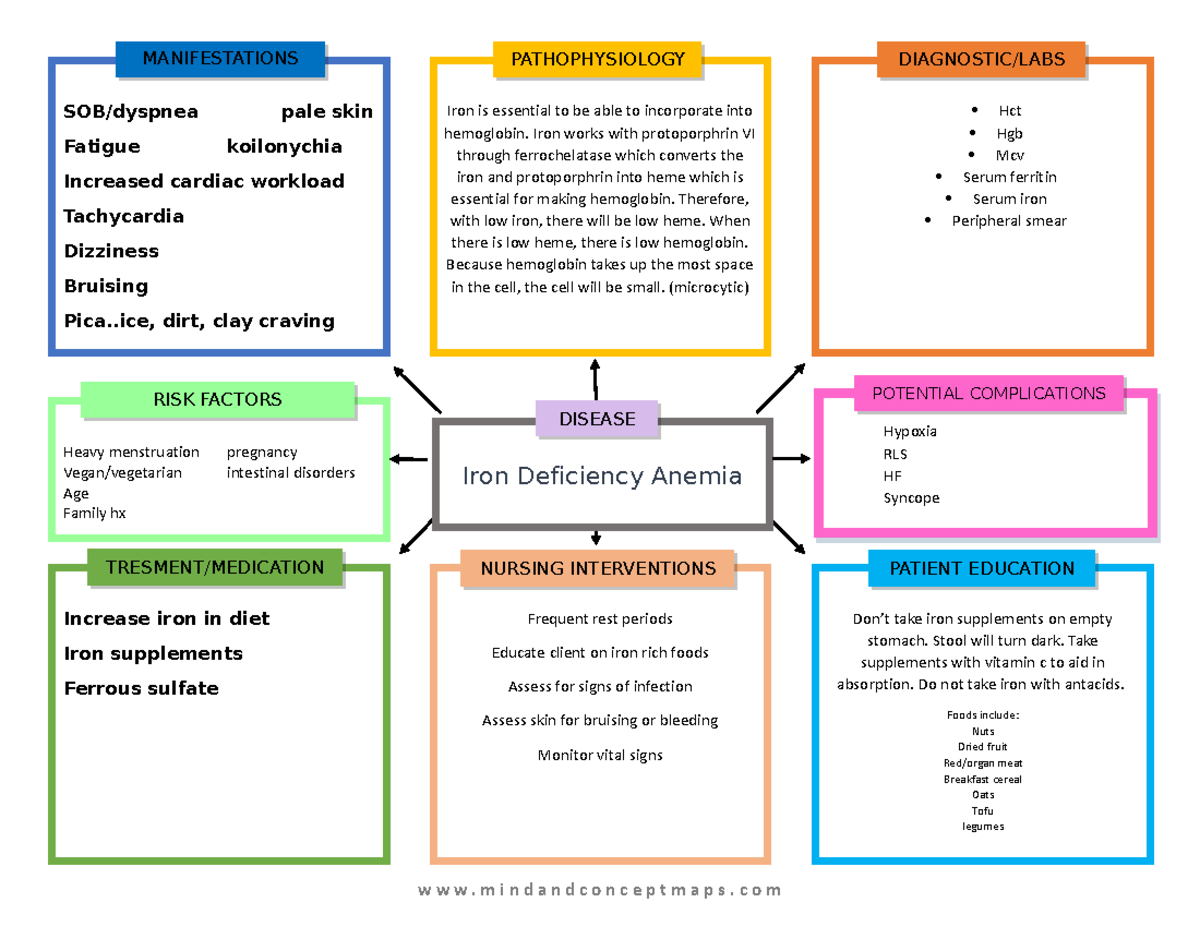 Iron Deficiency Anemia Concept Map: Causes, Treatments, & Education ...