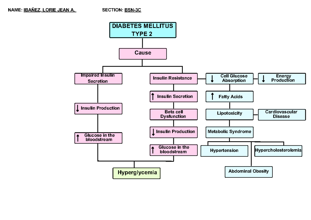 DM type 2 Pathophysiology - NAME: IBAÑEZ, LORIE JEAN A. SECTION: BSN-3C ...