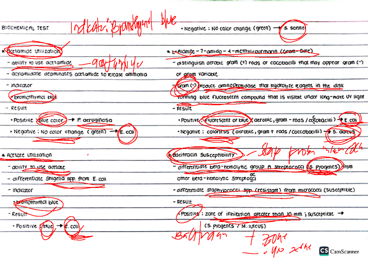 Biochemical Test Results for Bacteriology: Identification & Analysis ...