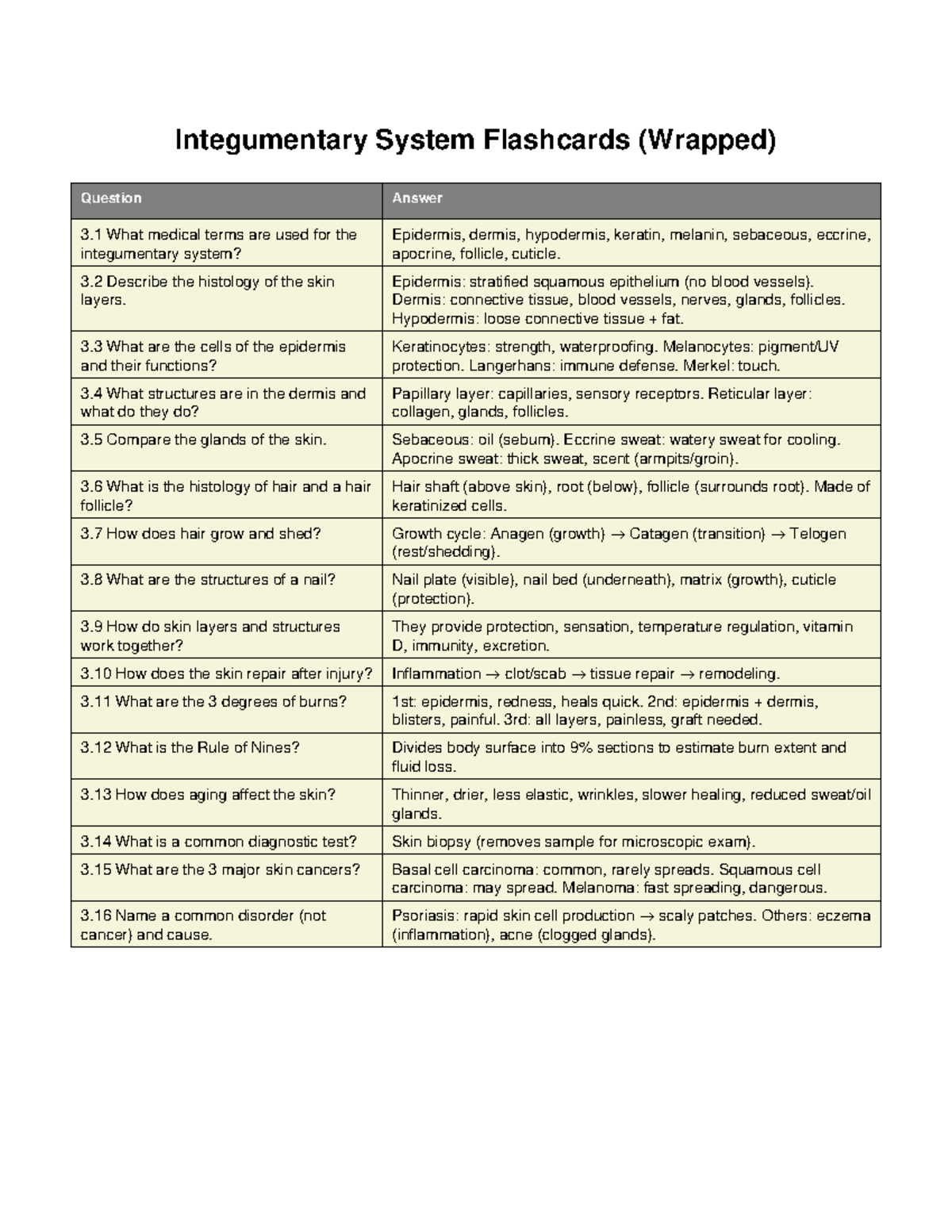 Integumentary System Flashcards: Key Concepts & Terms Review (BIO 101) - Studocu