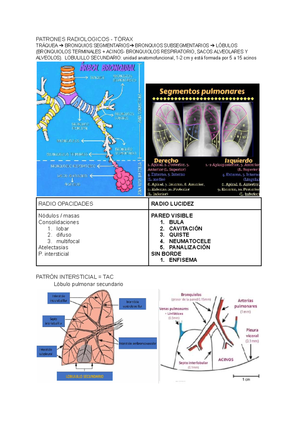 Patrones Radiológicos en Tórax y Abdomen: Análisis Completo - Studocu
