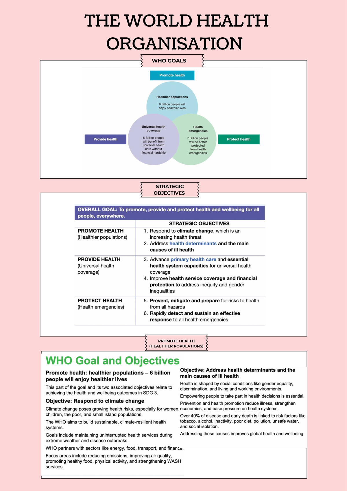 Health Status Indicators - THE WORLD HEALTH ORGANISATION WHO GOALS ...