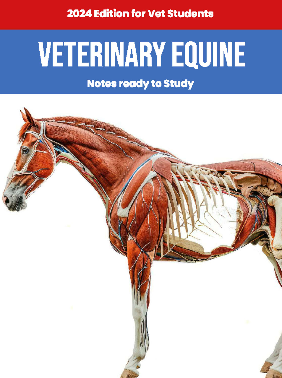 Veterinary Equine 2024: Comprehensive Study Notes and Health Guide ...