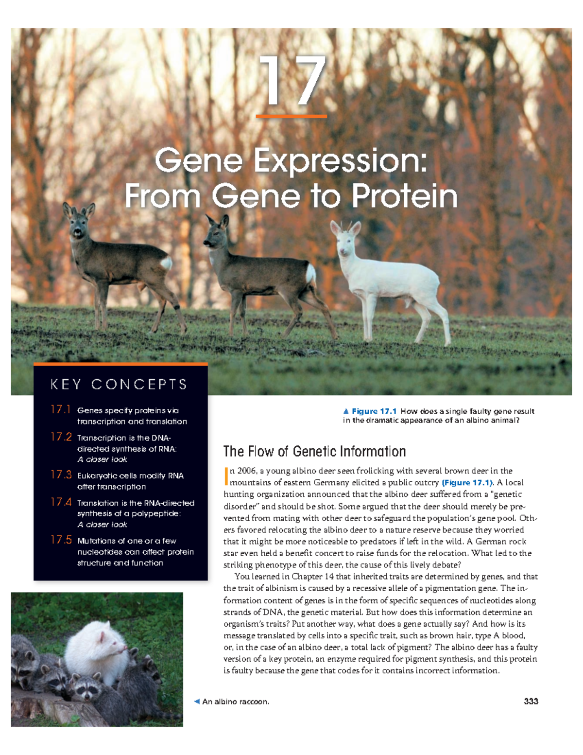 Textbook-gene expression from gene to protein - 333 The Flow of Genetic ...