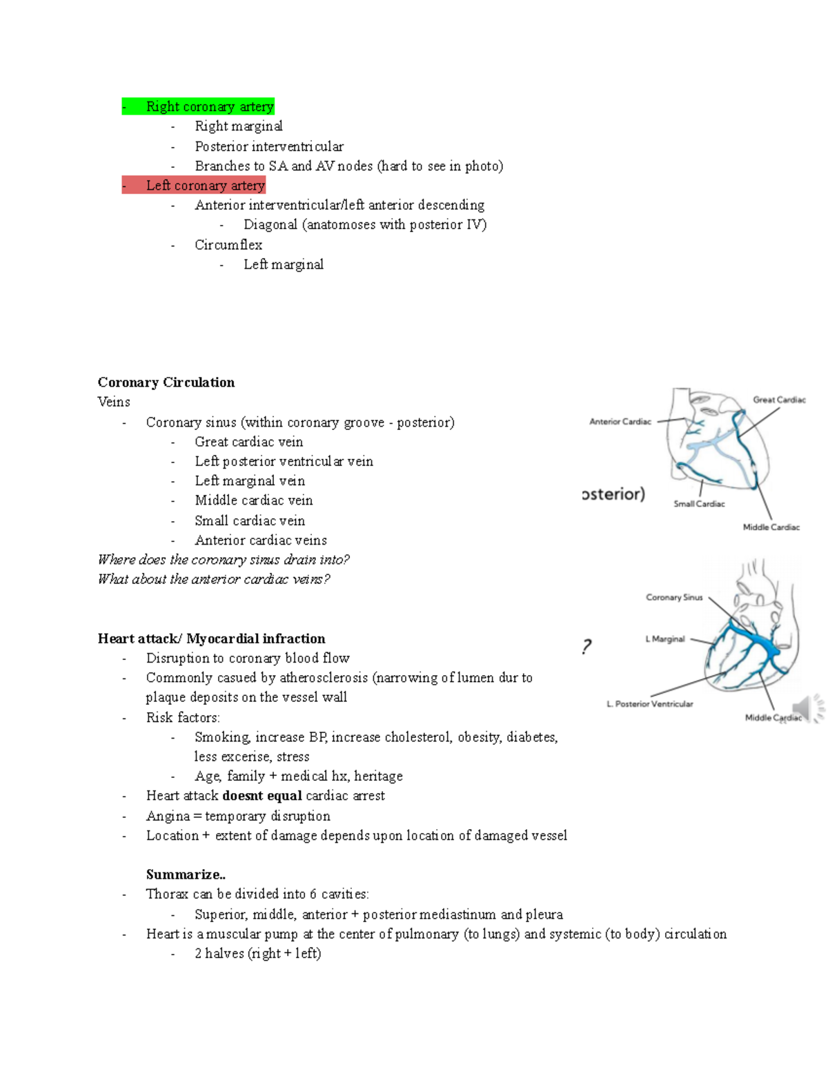 Anatomy Myocardial infraction - Right coronary artery Right marginal ...