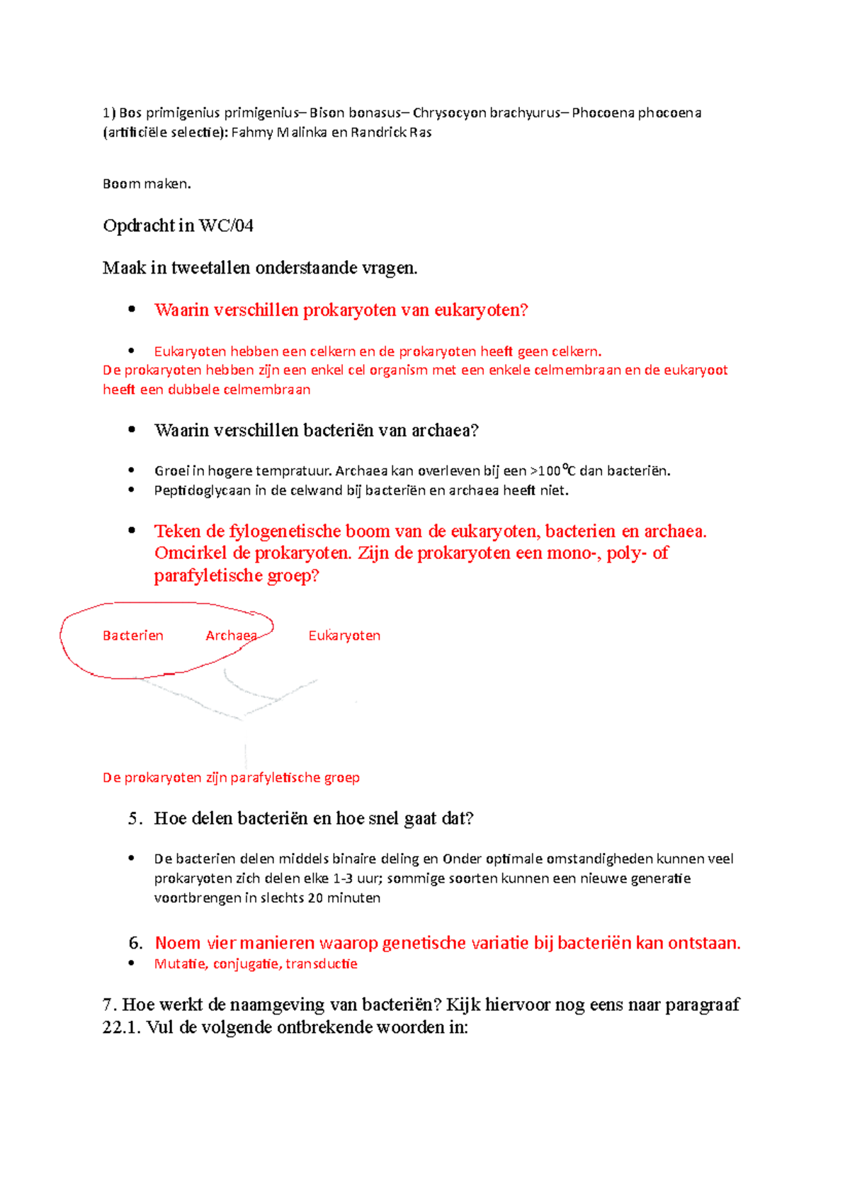 Opdracht over Prokaryoten en Eukaryoten: Verschillen en Genetica ...