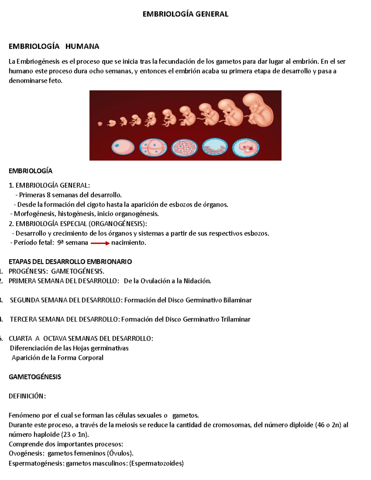 Embriología General y Humana - HIDTO: Desarrollo Embrionario - Studocu