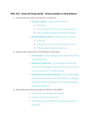 Chapter 23 Study Guide - Urinary system - Chapter 23 Study Guide ...
