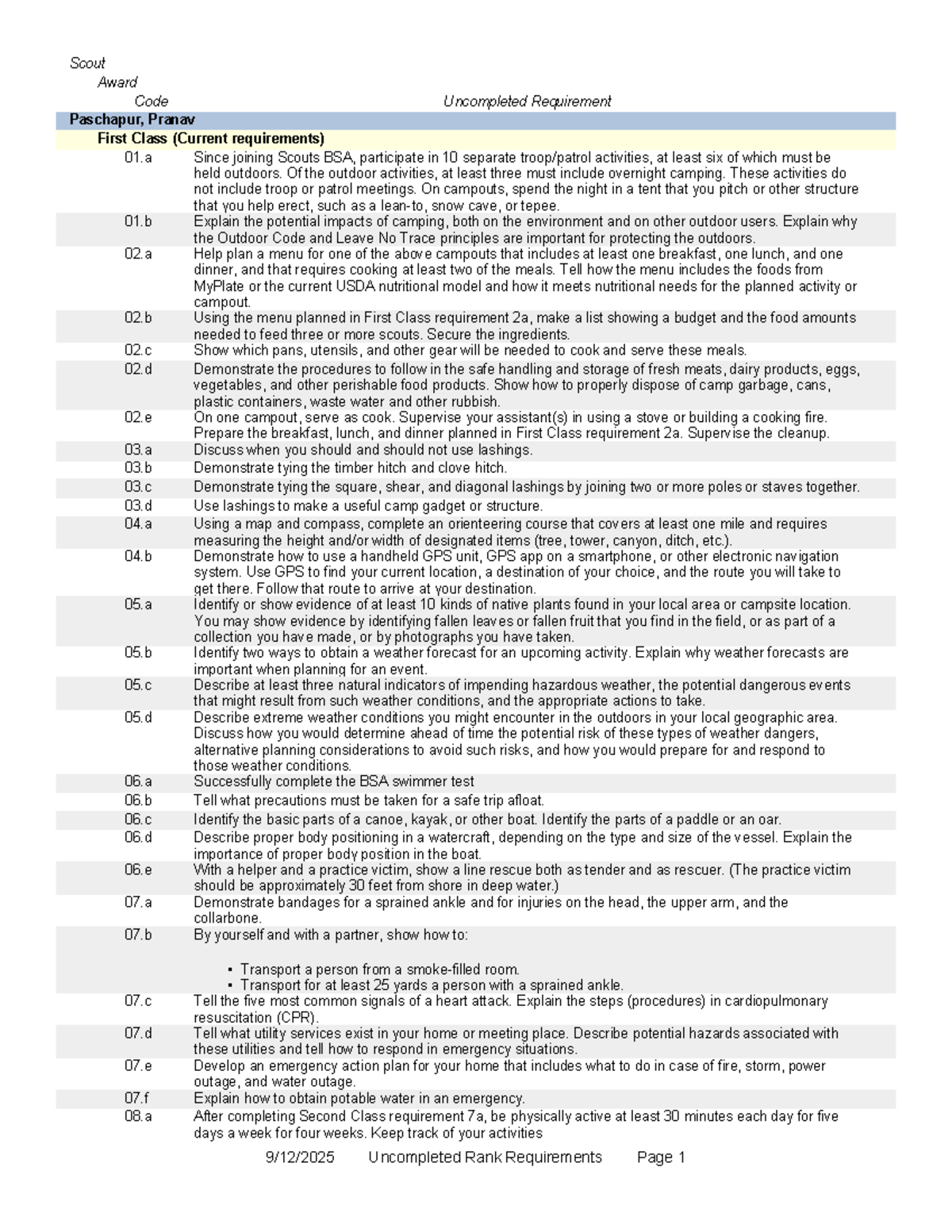 Scout Award Uncompleted Requirements for First Class (202591205933 ...