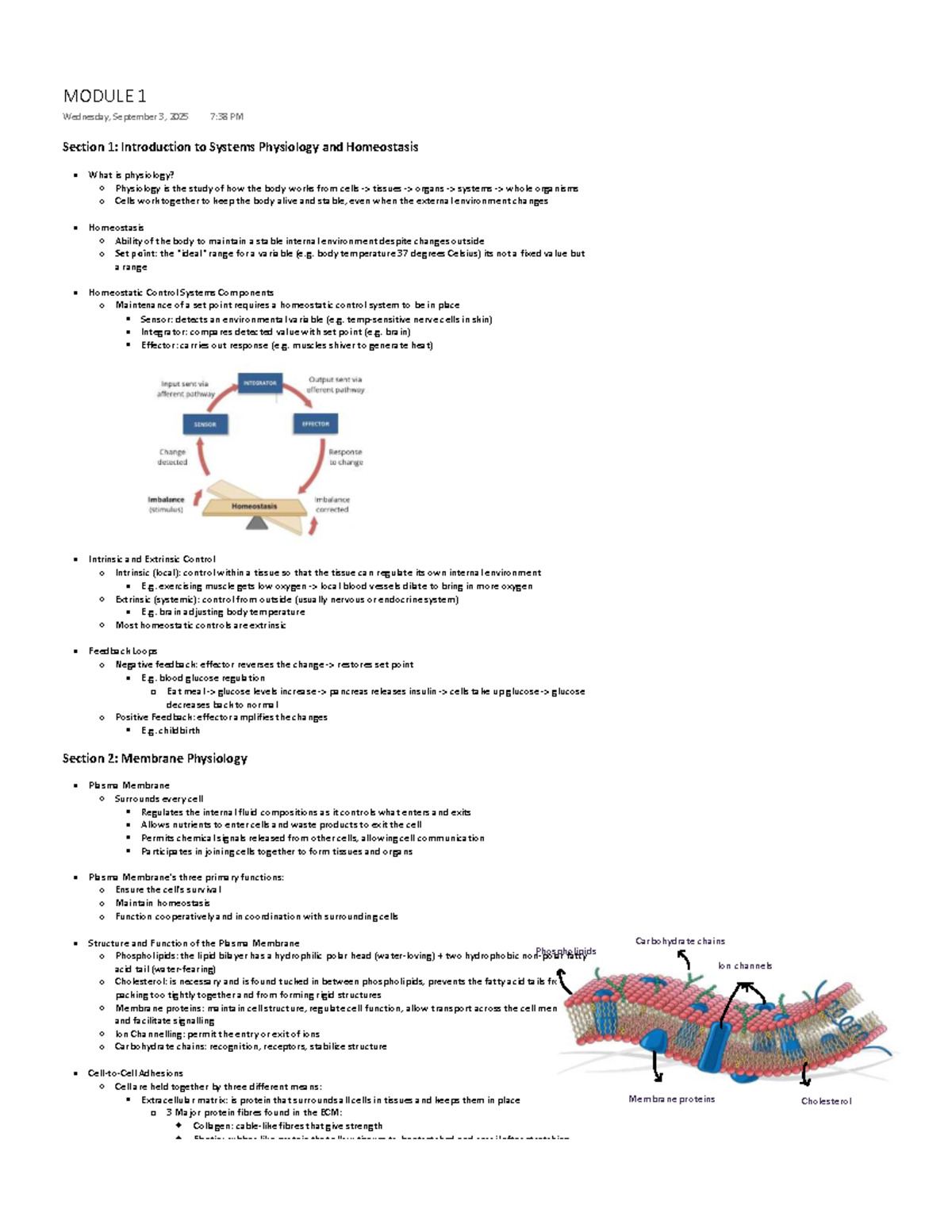Module 1: Introduction to Systems Physiology and Homeostasis - PHGY 215 ...