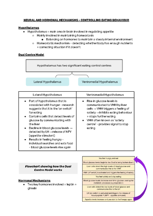 Describe and evaluate lateralisation and split brain research (16 marks ...