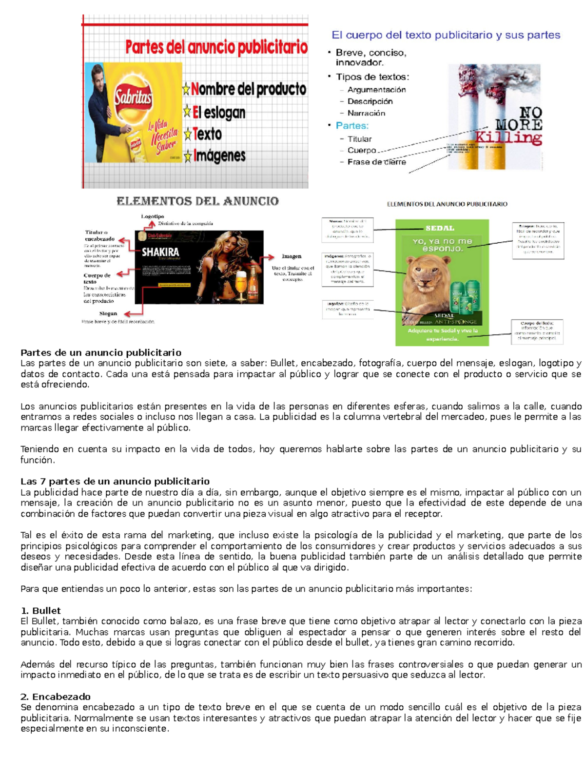 Partes Esenciales de un Anuncio Publicitario: Guía Completa - Studocu