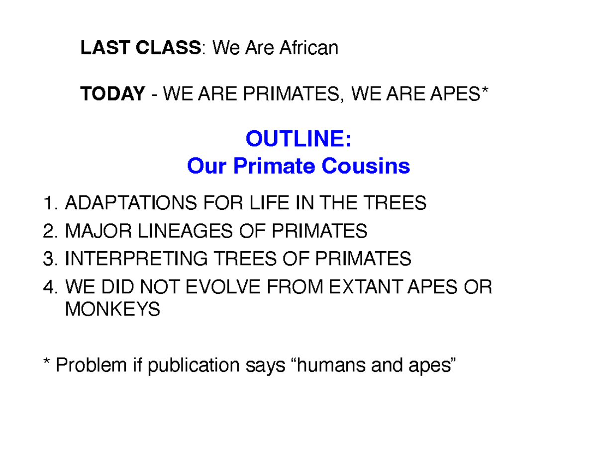 C13 We Are Primates: Adaptations, Lineages, and Evolution Insights ...