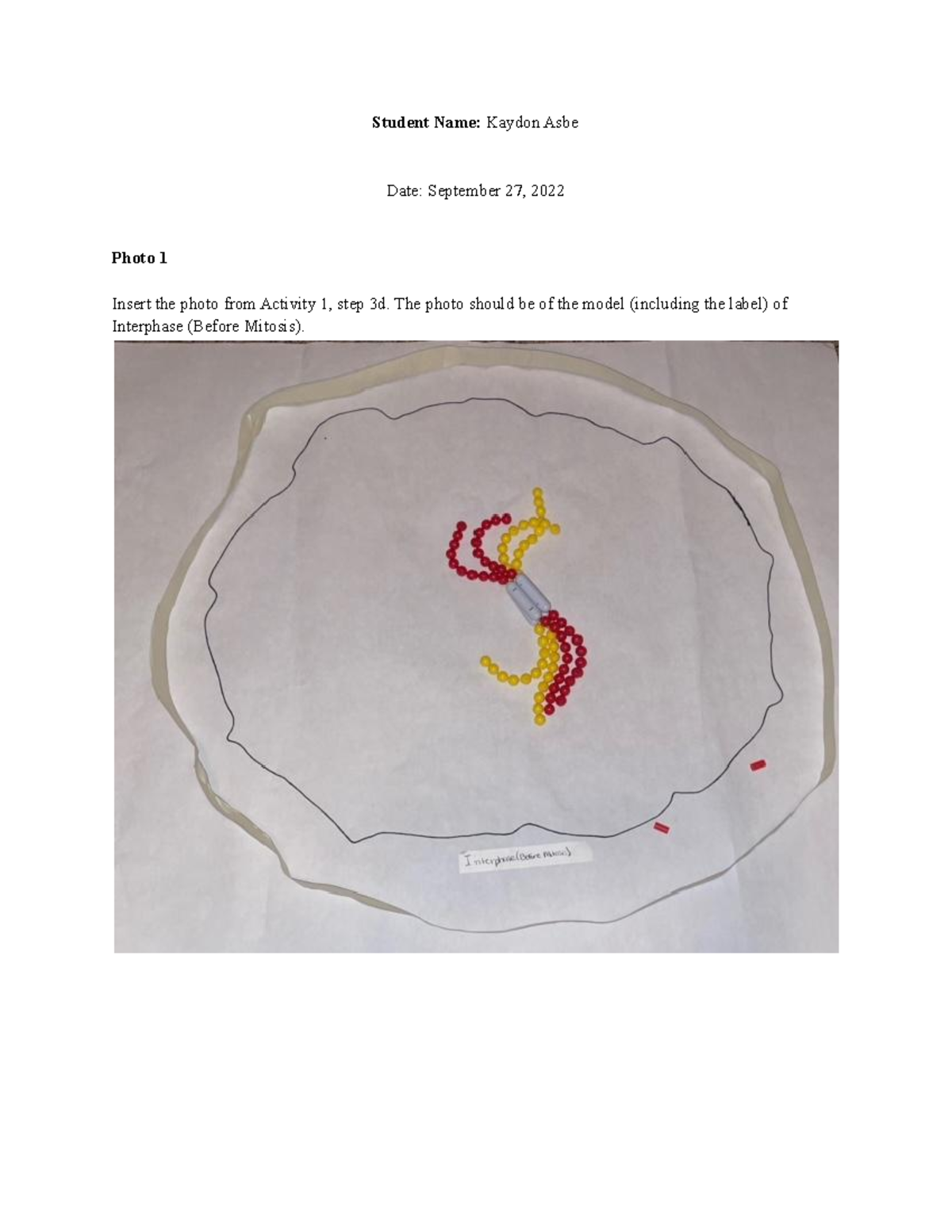 Mitosis & Meiosis: Chromo Simulation Activities & Photos - Studocu